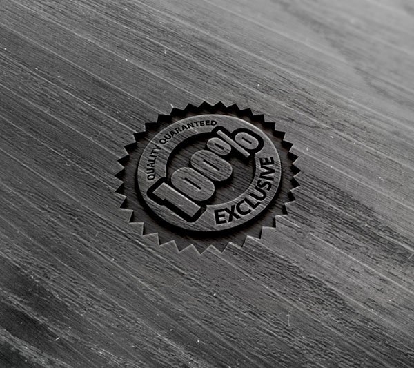 Logo Designs – Anna Ren