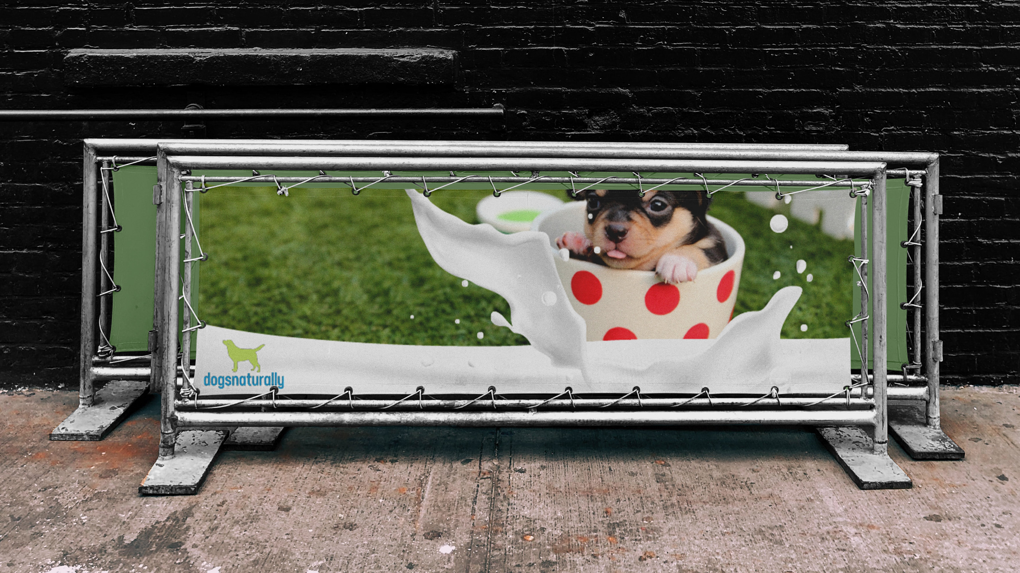 Dogs Natually Magazine Banner Design – Anna Ren