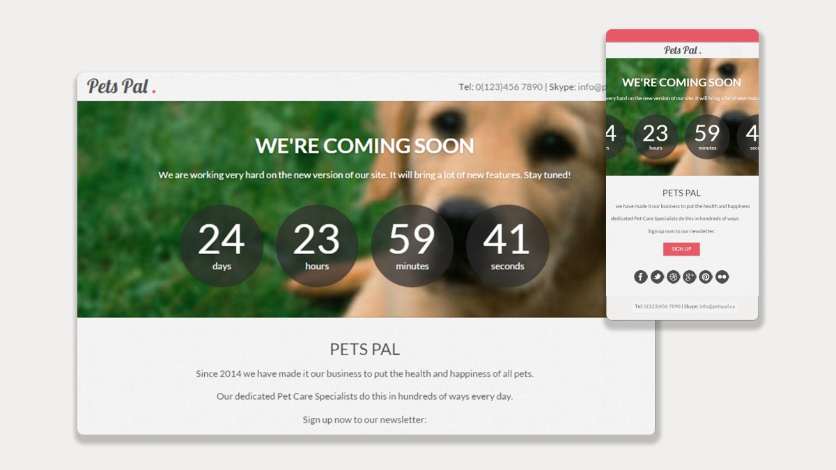 Pets Pal Pet Hospital, Website – Anna Ren